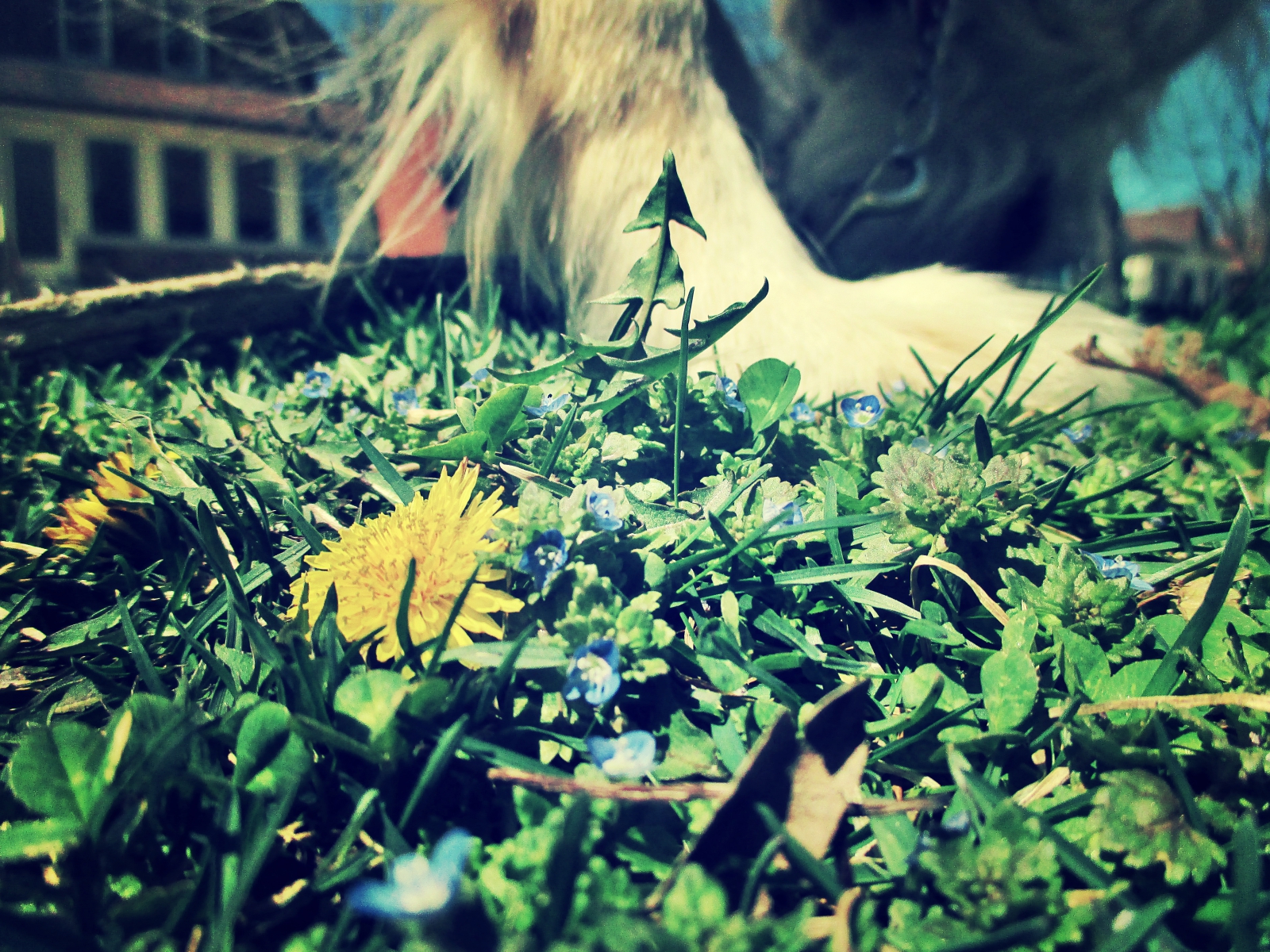 Surprise Photography – by PaulaB