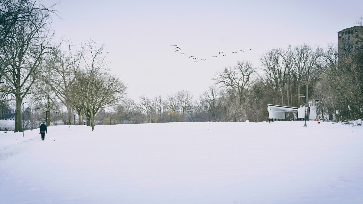 the hazy light – by PaulaB